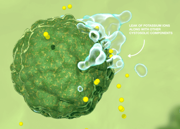 Wound Bed Preparation - A Vital Step in the Healing Process - PHMB