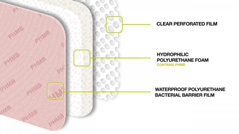Wound Bed Preparation - A Vital Step in the Healing Process - PHMB
